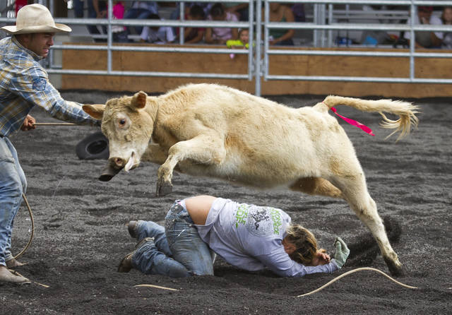 51st annual Kona Stampede Rodeo held in newly renovated Honaunau Arena ...